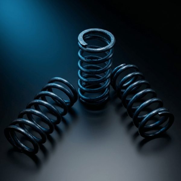 Replacement Springs | BCN3D Epsilon Series - BCN3D Technologies